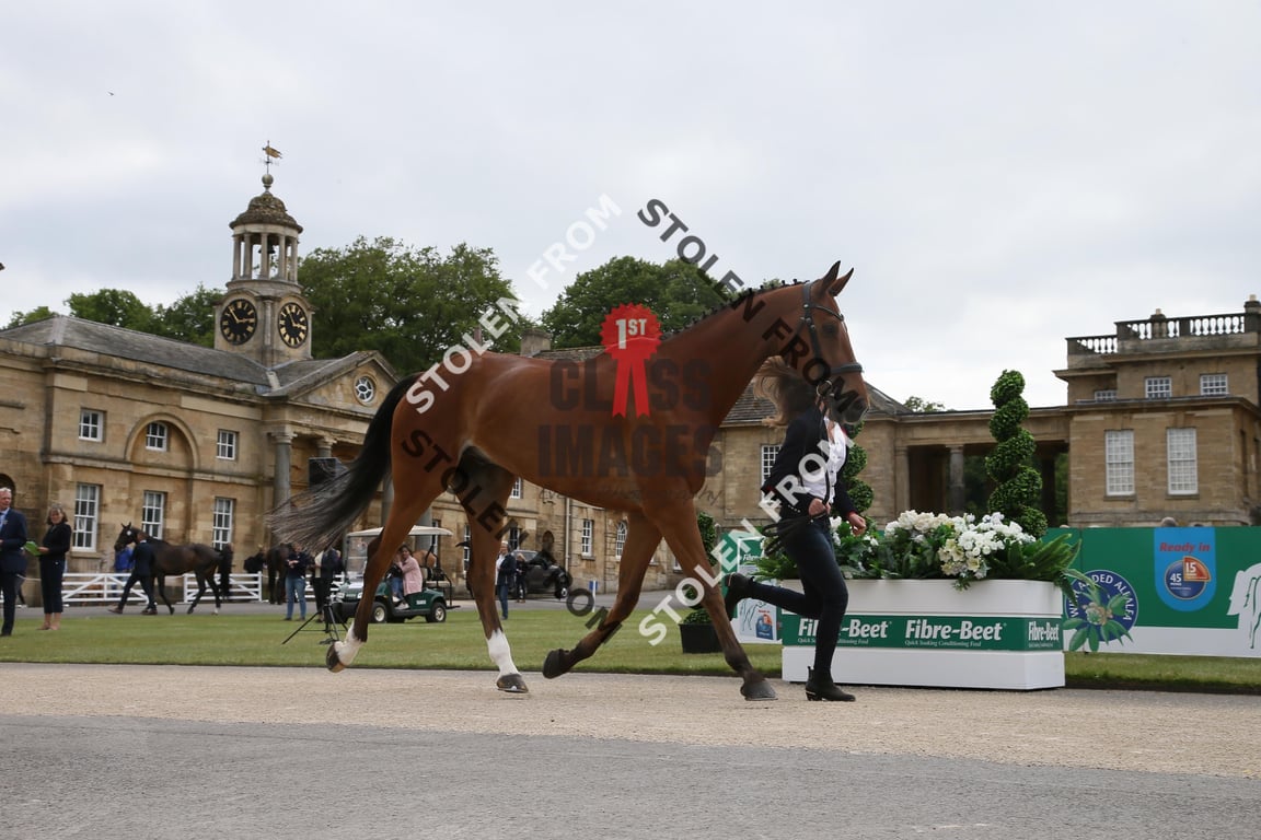 A48_0182 2023 - 1st Class Images