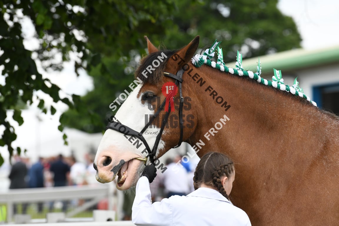 L63_0473 2023 - 1st Class Images