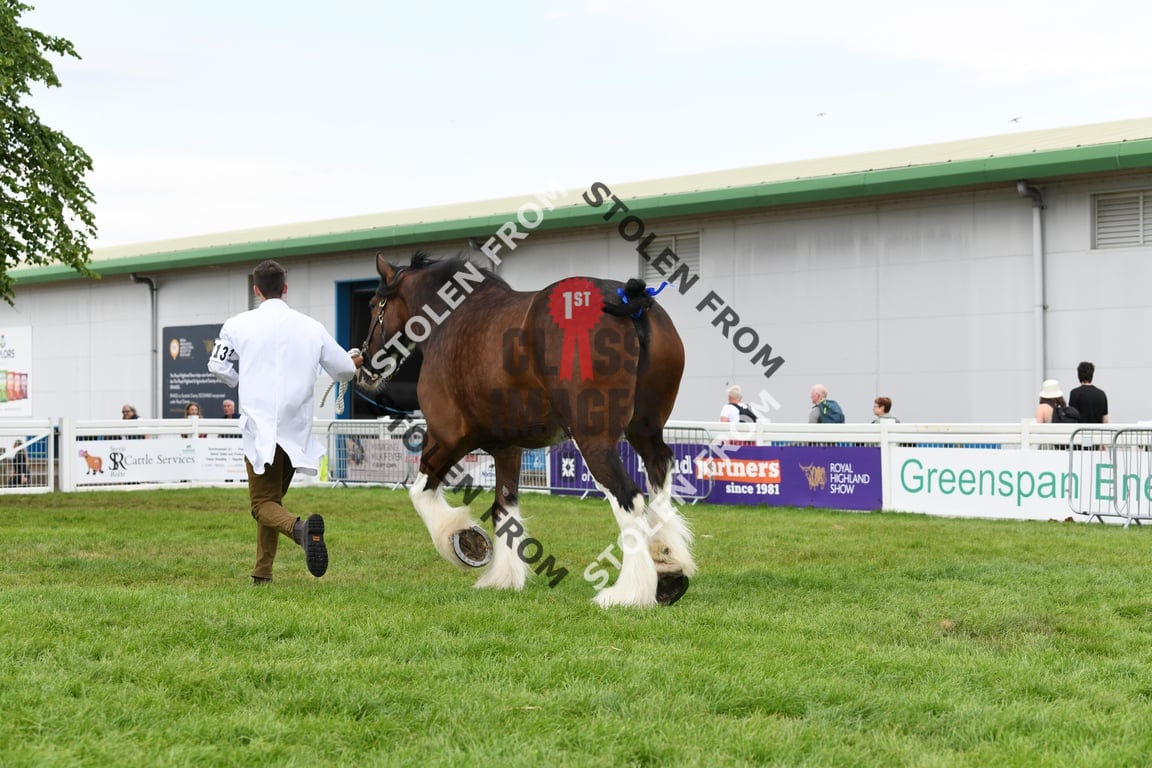 L63_0515 2023 - 1st Class Images