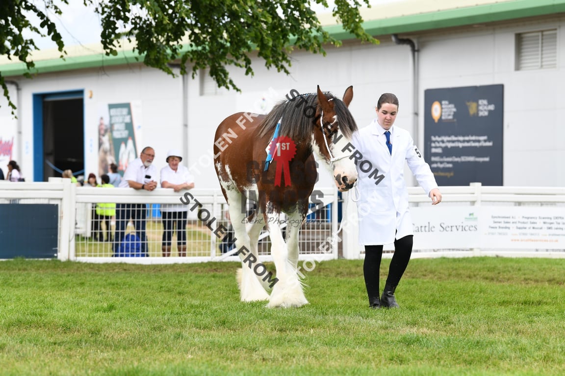 L63_0547 2023 - 1st Class Images