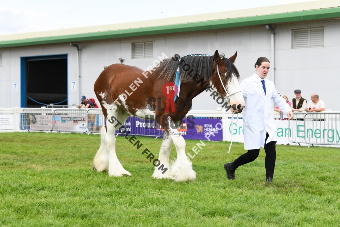 L63_0551 2023 - 1st Class Images