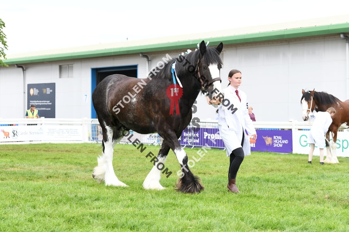 L63_0602 2023 - 1st Class Images