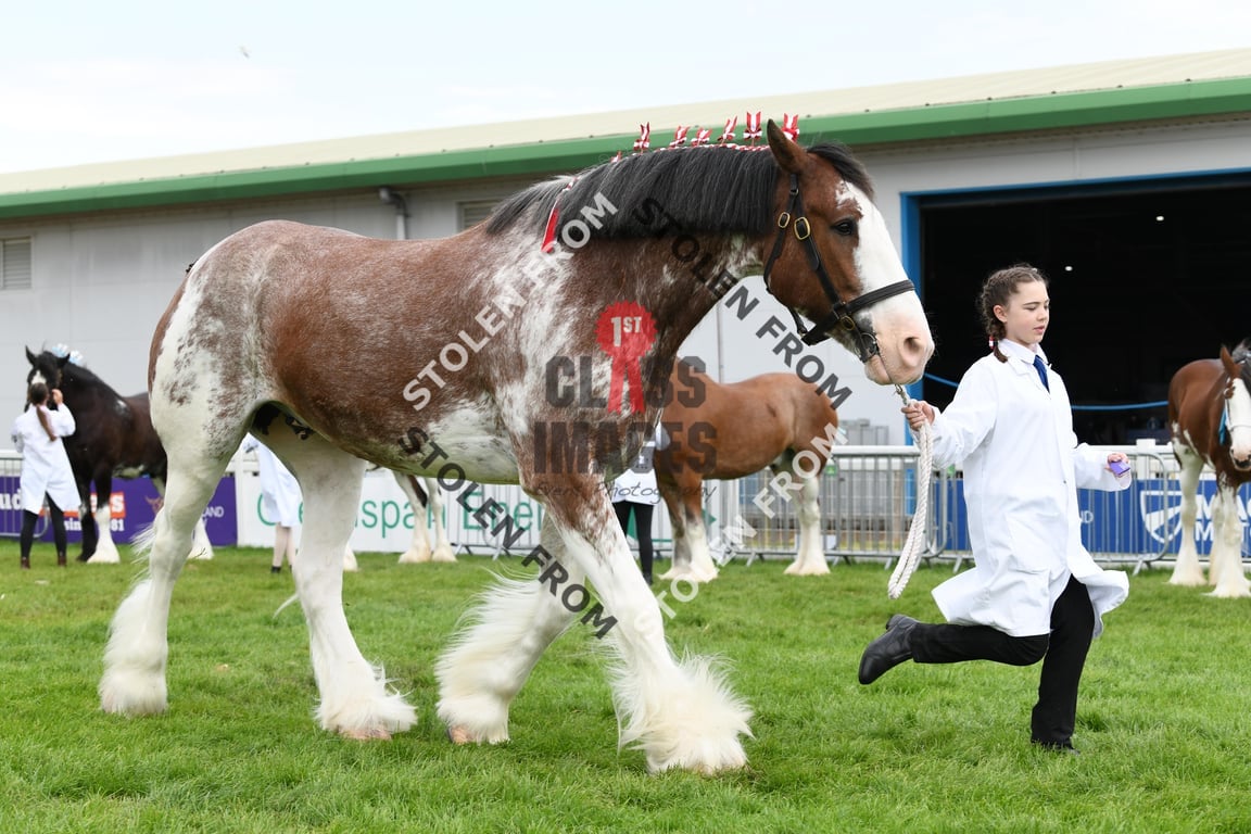 L63_0642 2023 - 1st Class Images