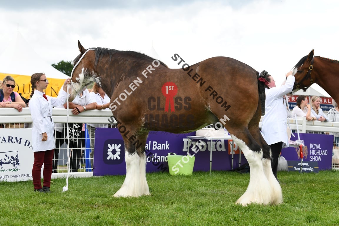 L63_0679 2023 - 1st Class Images