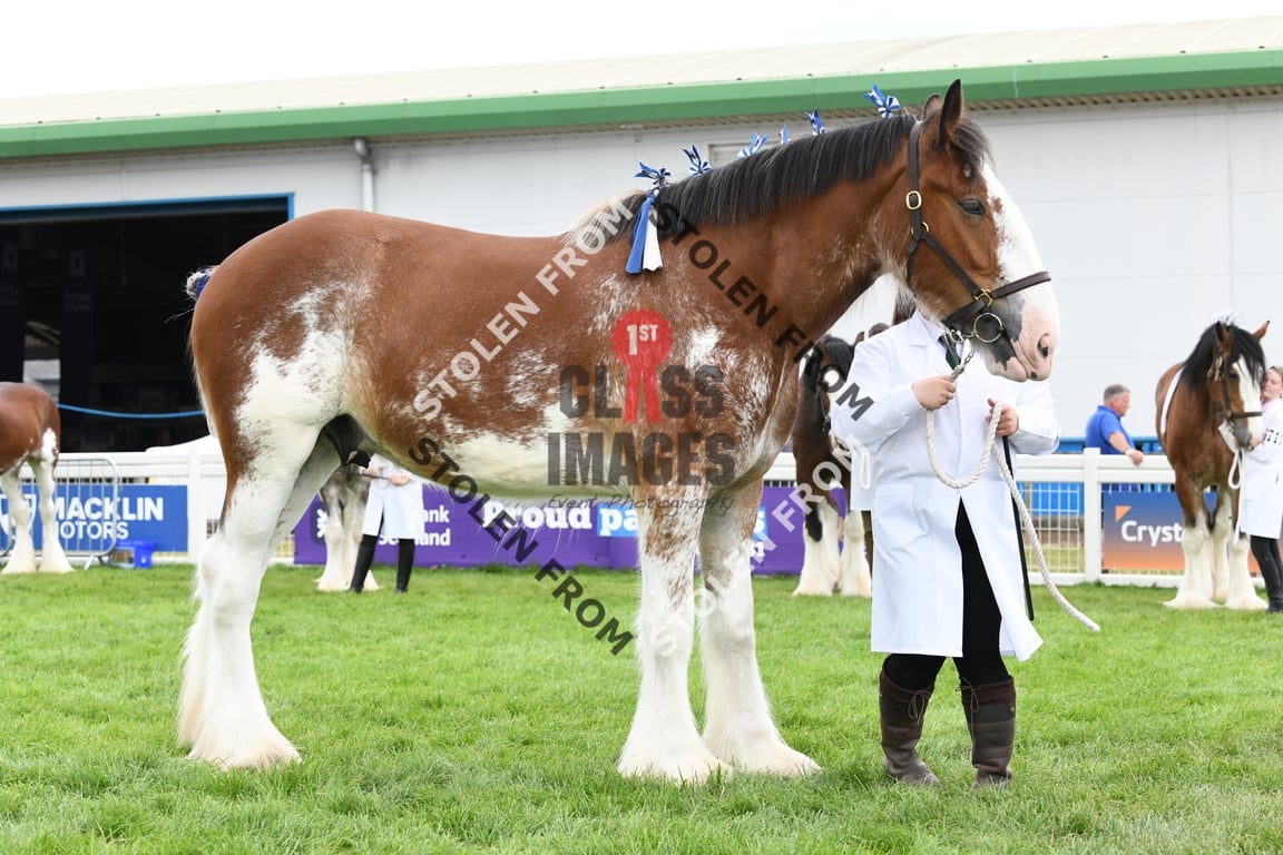 L63_0700 2023 - 1st Class Images