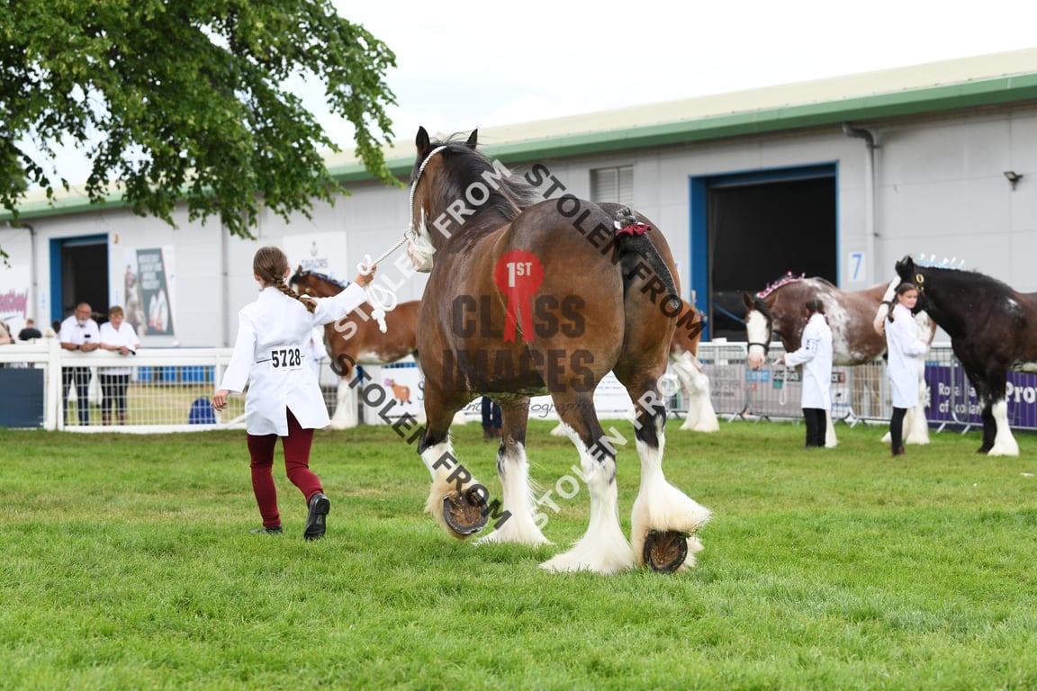 L63_0714 2023 - 1st Class Images