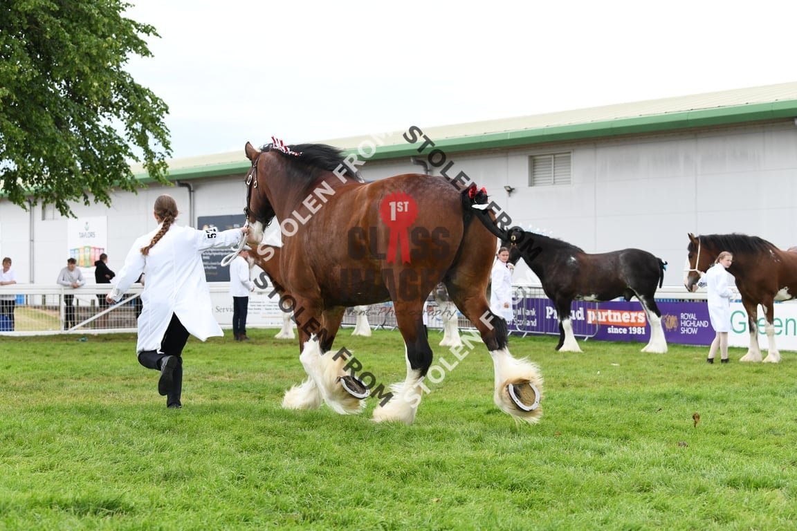 L63_0749 2023 - 1st Class Images