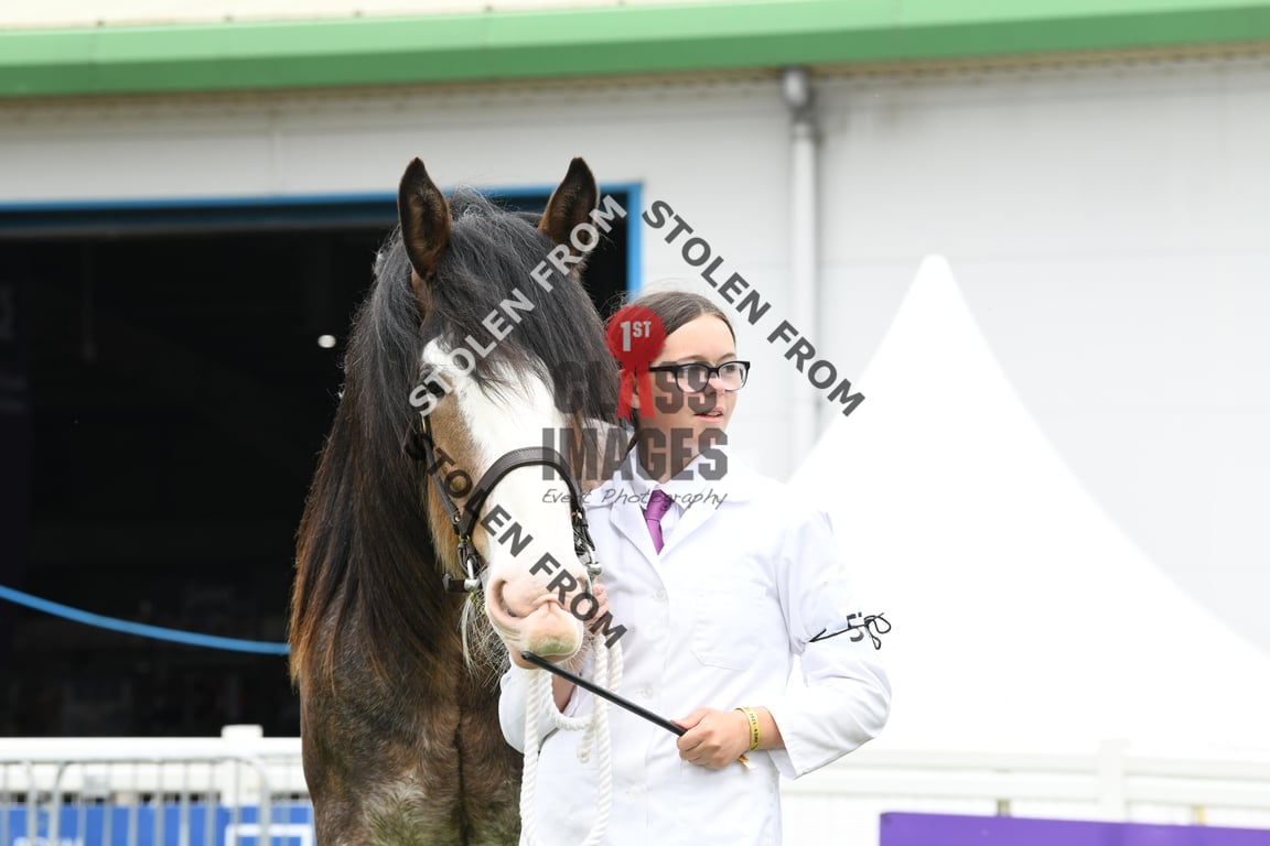 L63_0782 2023 - 1st Class Images