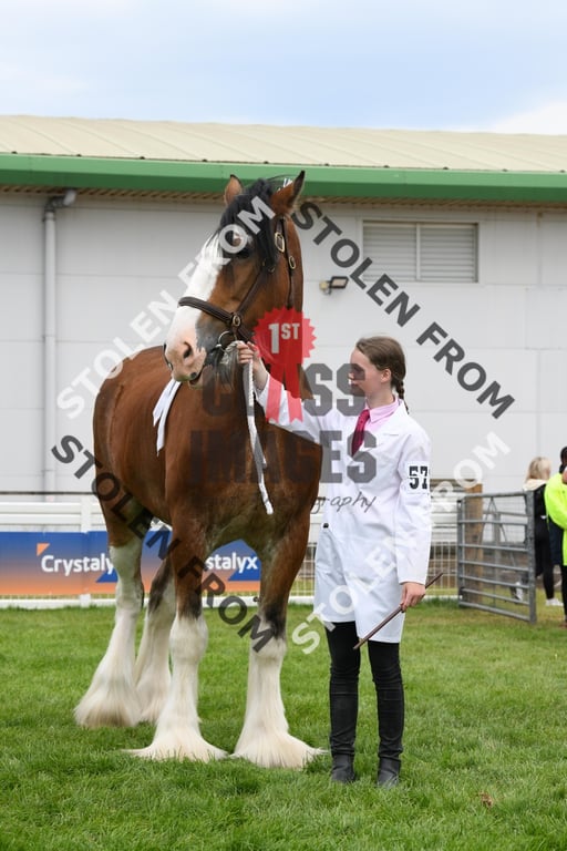 L63_0793 2023 - 1st Class Images