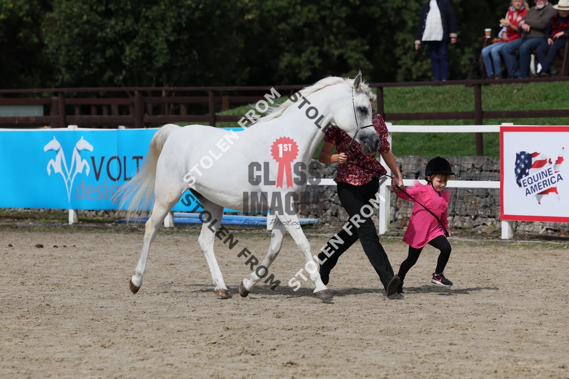 S79_3143 2023 - 1st Class Images