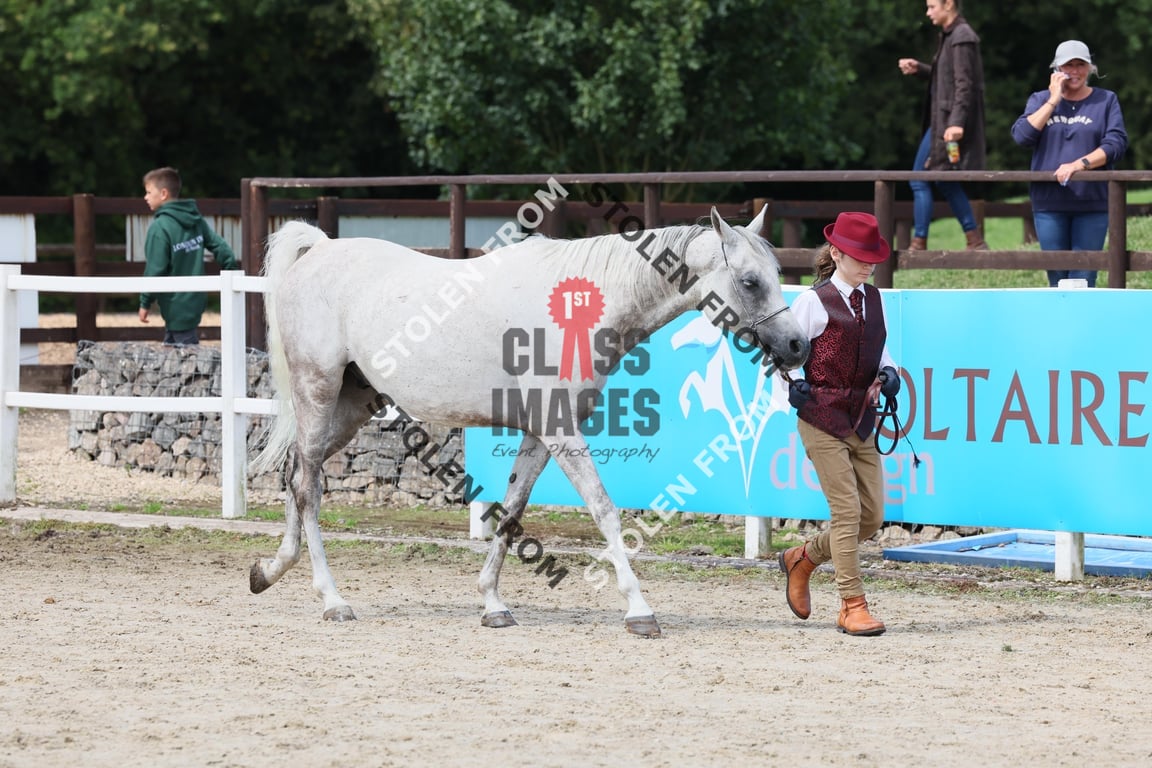 S79_3596 2023 - 1st Class Images