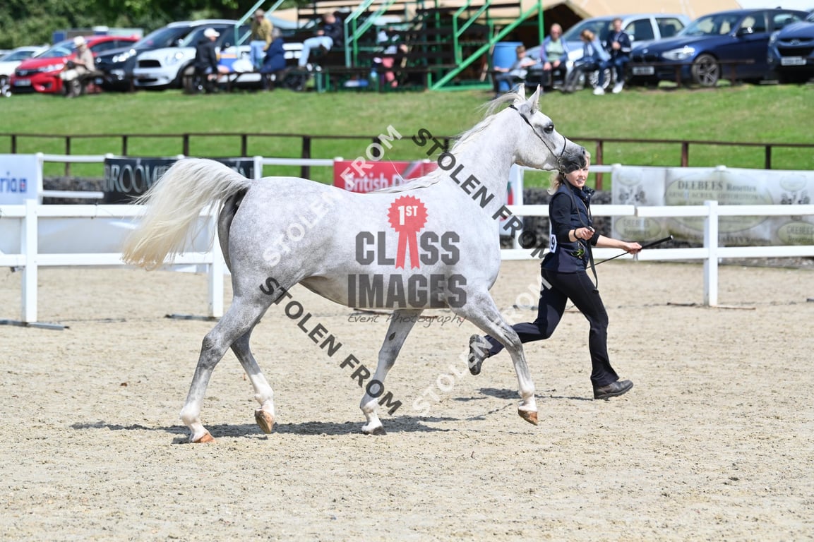 N78_9708 2023 - 1st Class Images