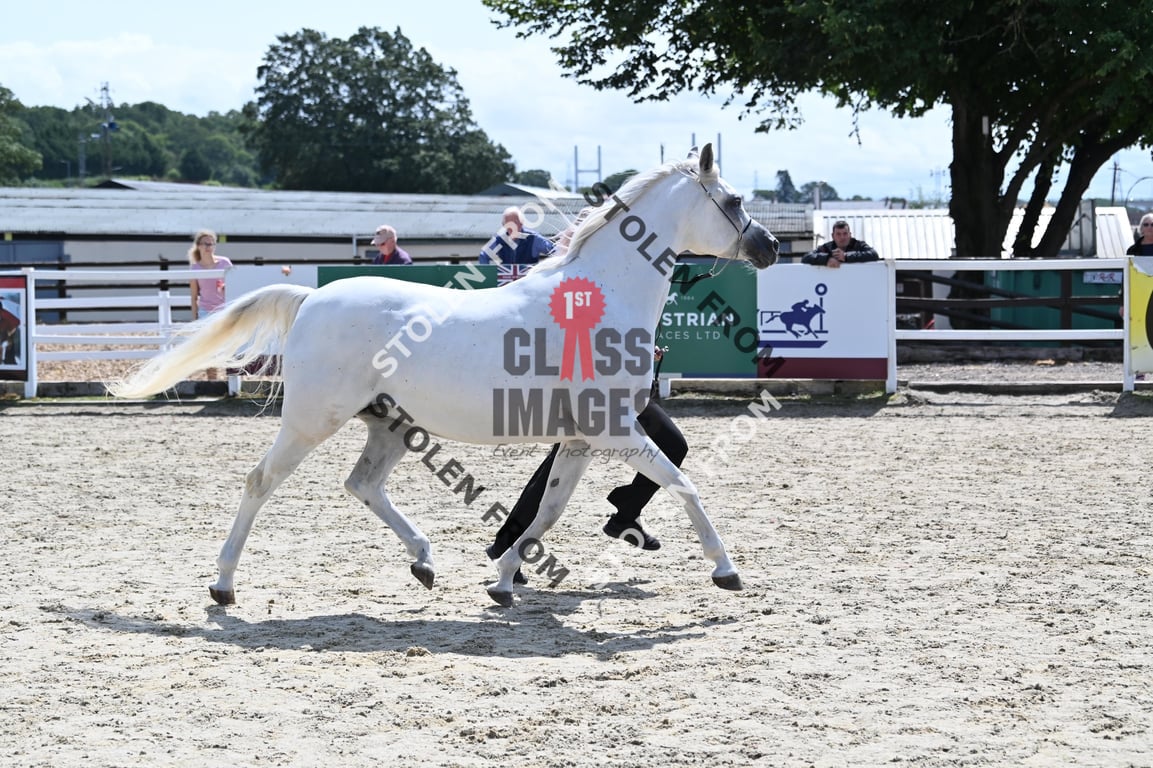 N78_9718 2023 - 1st Class Images