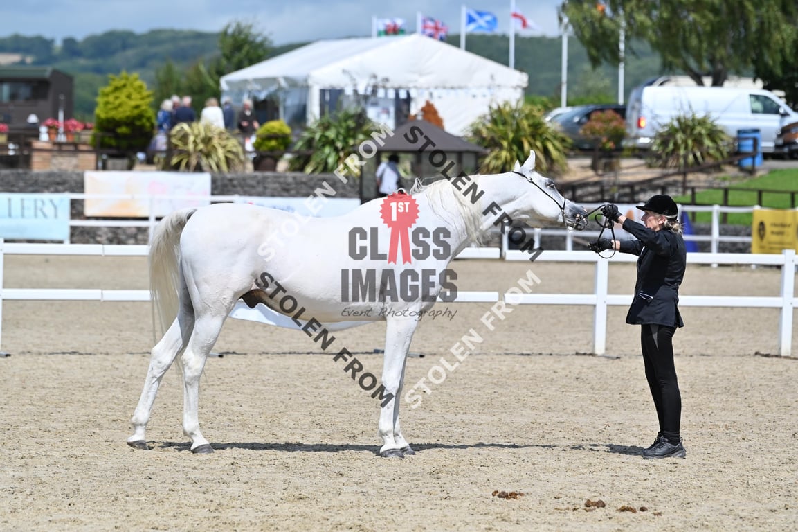 N78_9737 2023 - 1st Class Images