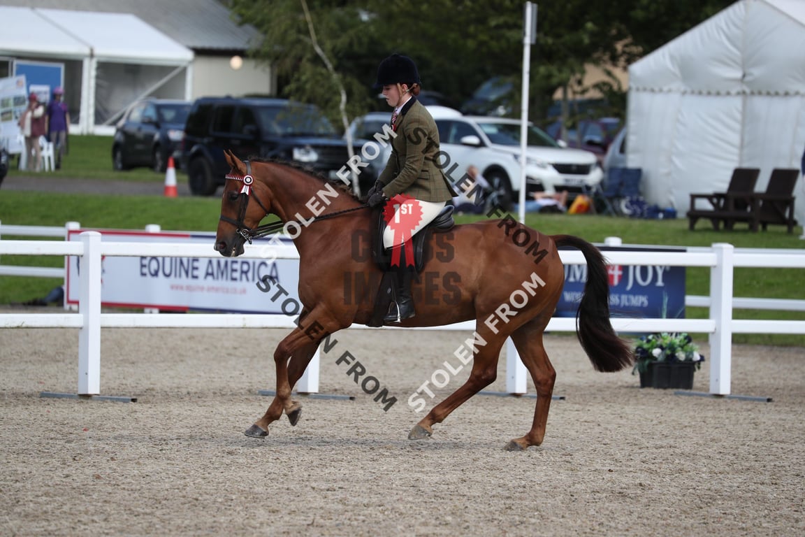 M79_5247 2023 - 1st Class Images