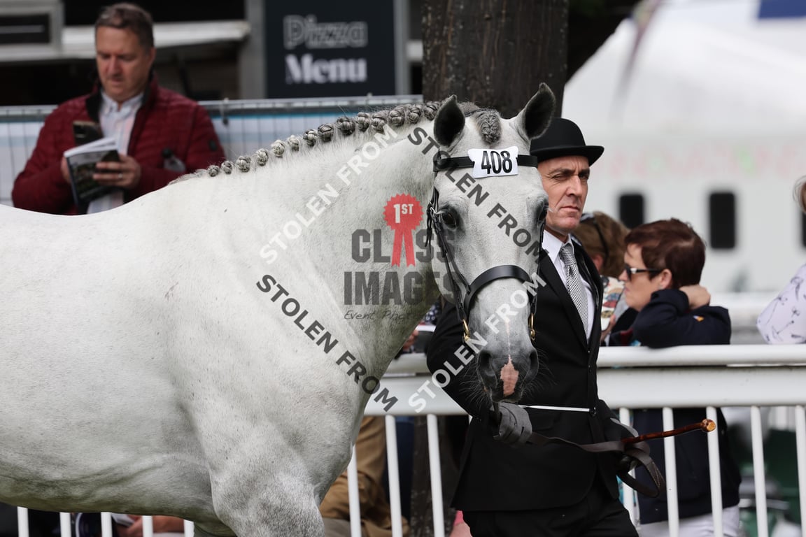 SA3_1756 2023 - 1st Class Images