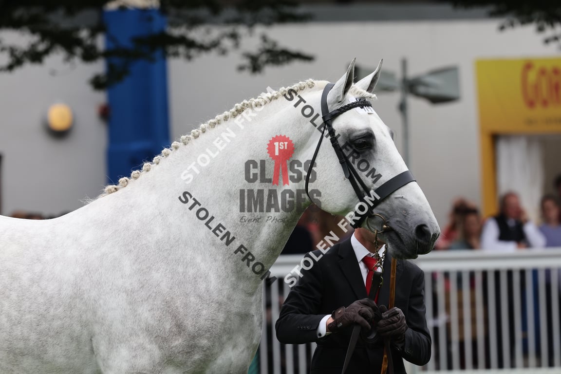 SA3_1887 2023 - 1st Class Images