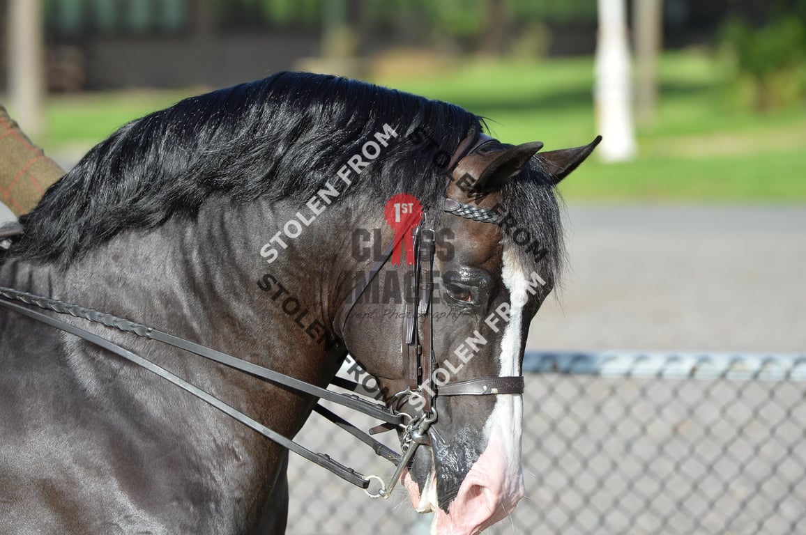 D97_1350 2023 - 1st Class Images