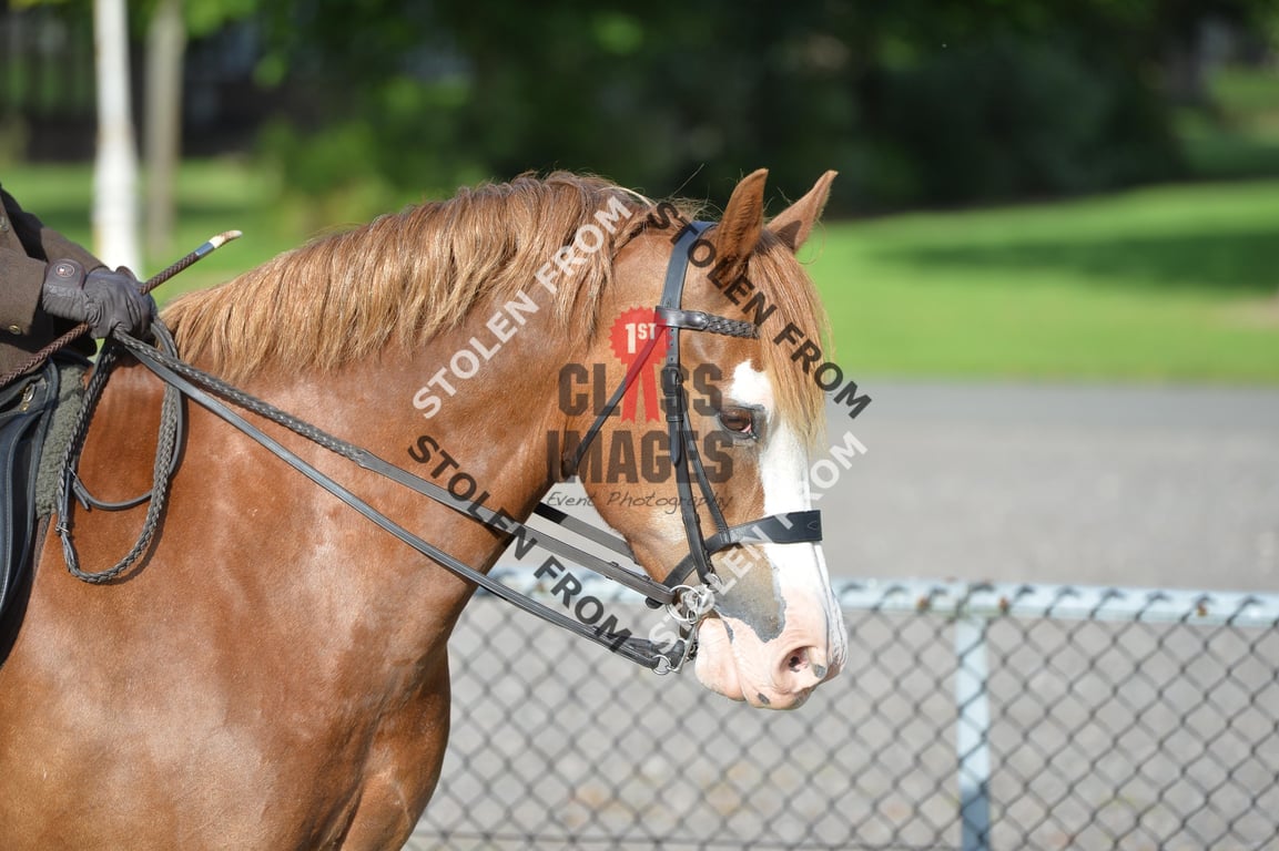 D97_1369 2023 - 1st Class Images