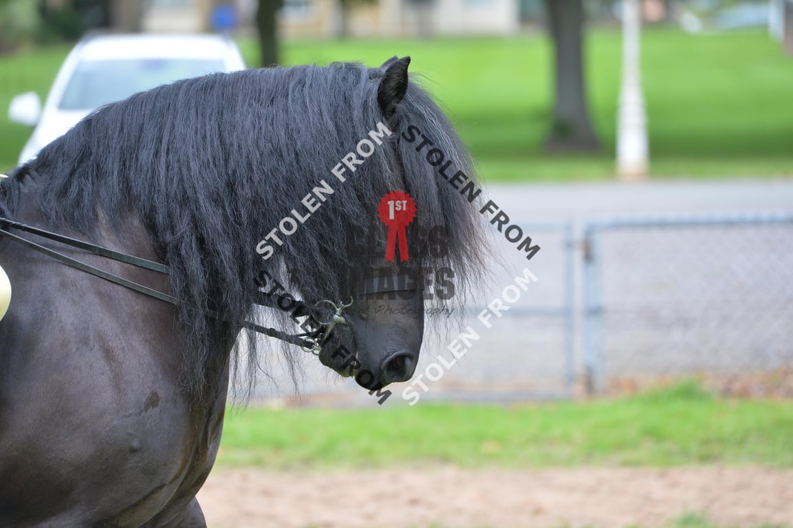 D97_1852 2023 - 1st Class Images