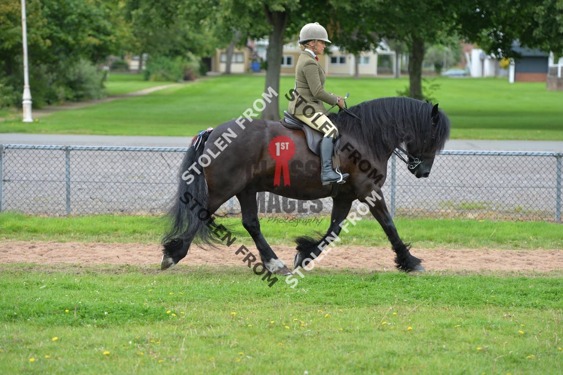 D97_1884 2023 - 1st Class Images