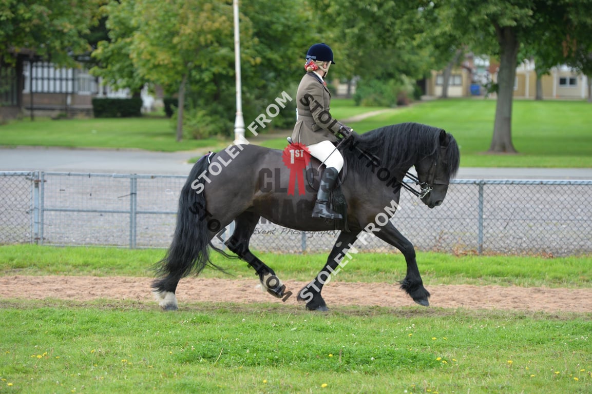 D97_1901 2023 - 1st Class Images