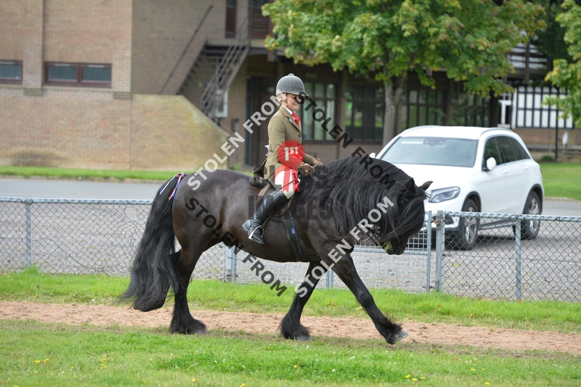 D97_2013 2023 - 1st Class Images