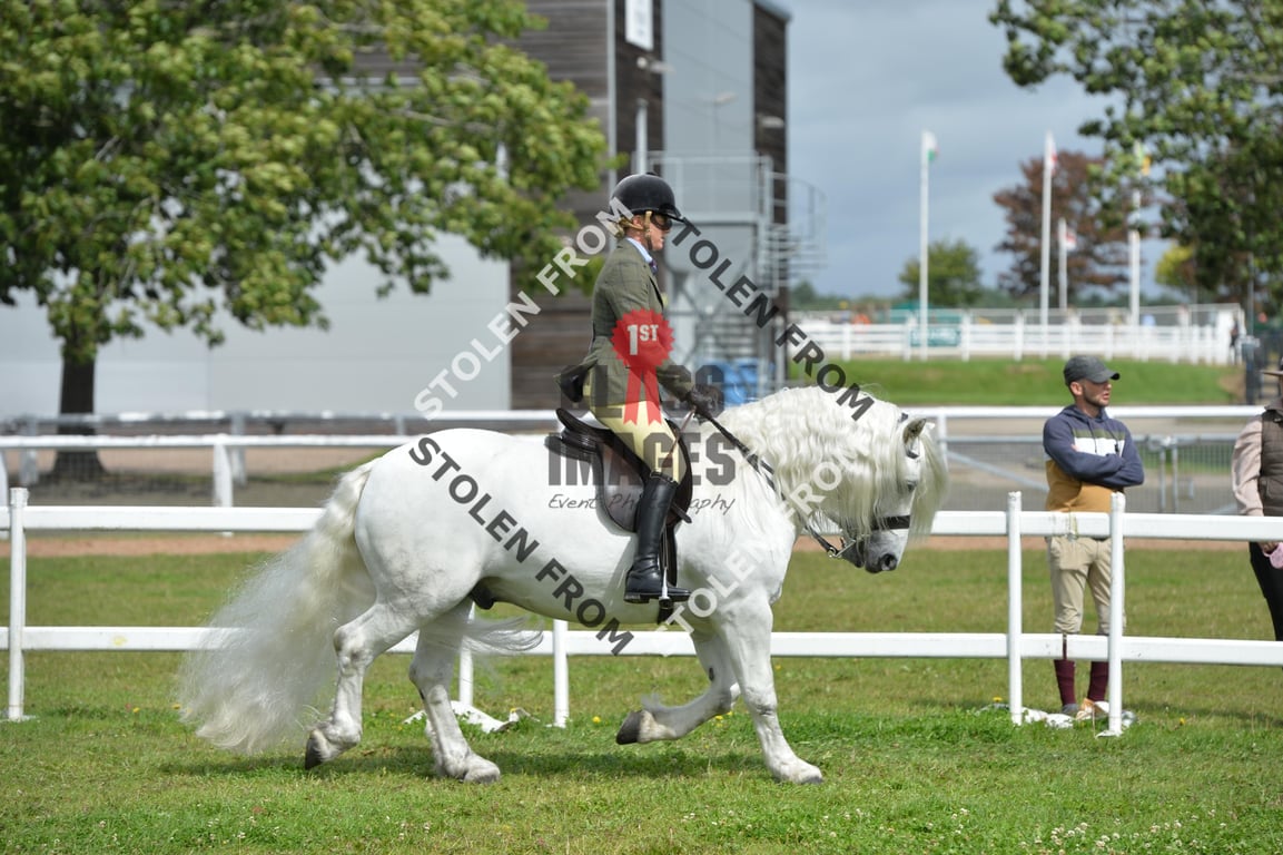 D97_2077 2023 - 1st Class Images