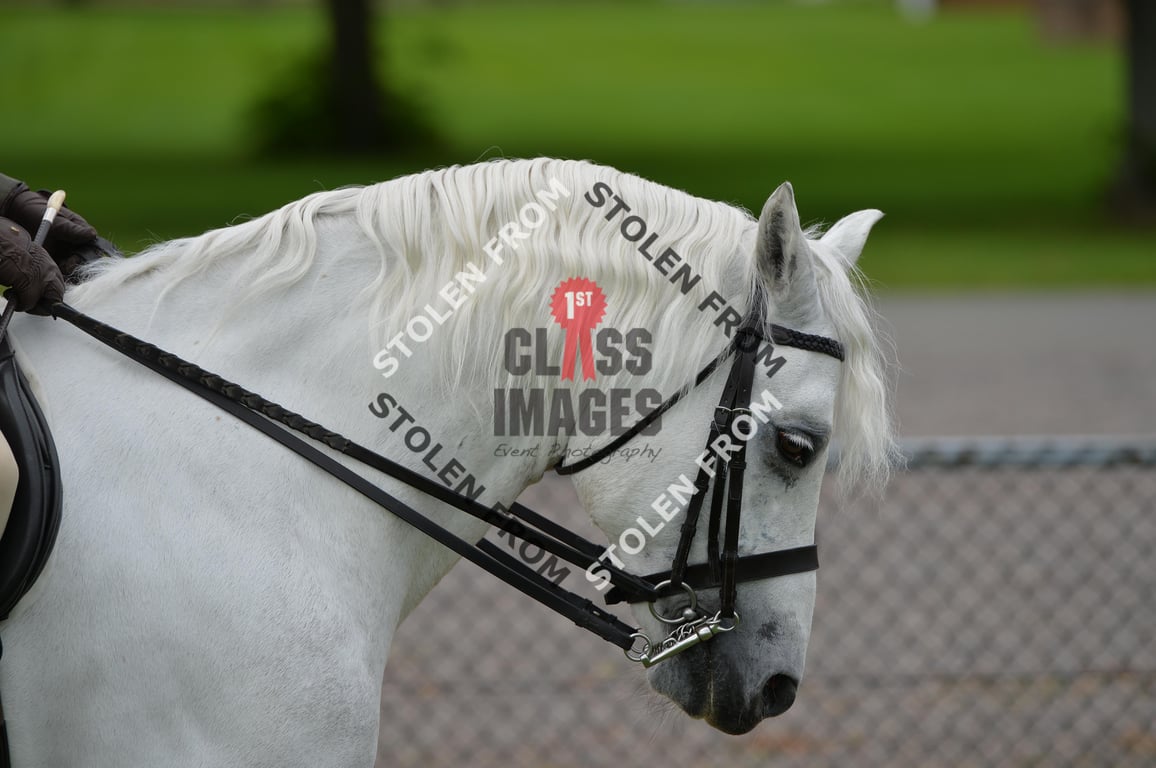 D97_2261 2023 - 1st Class Images