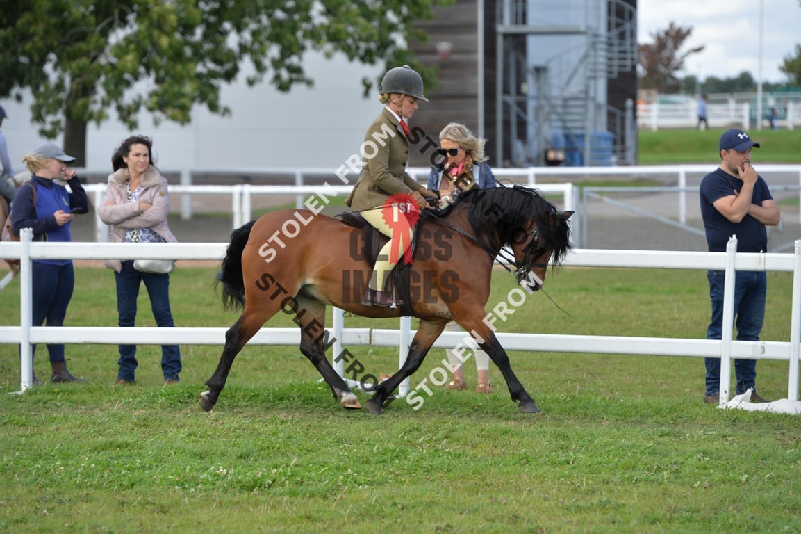 D97_3011 2023 - 1st Class Images