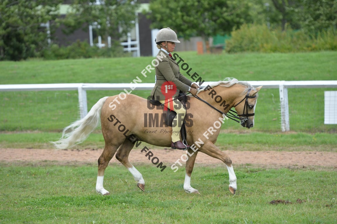 D97_3363 2023 - 1st Class Images