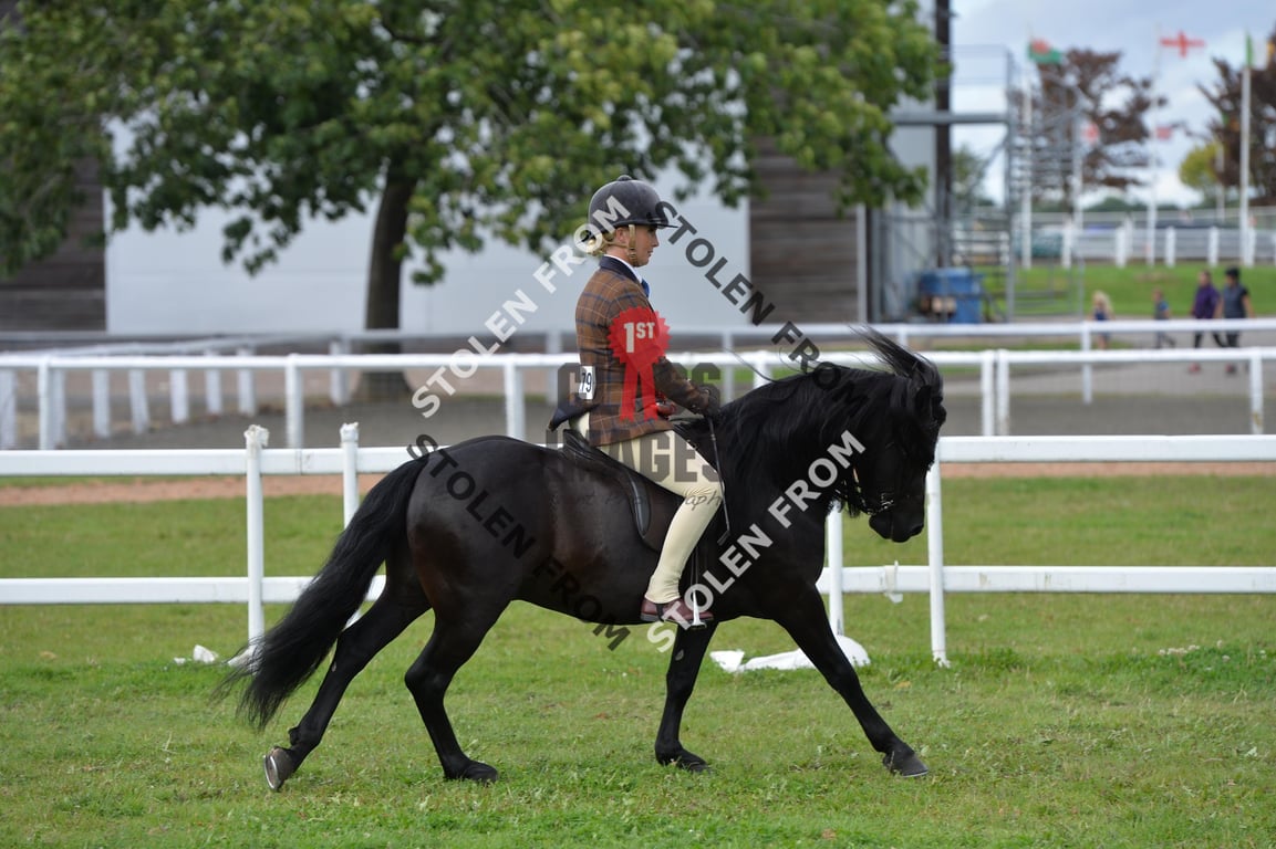 D97_3518 2023 - 1st Class Images