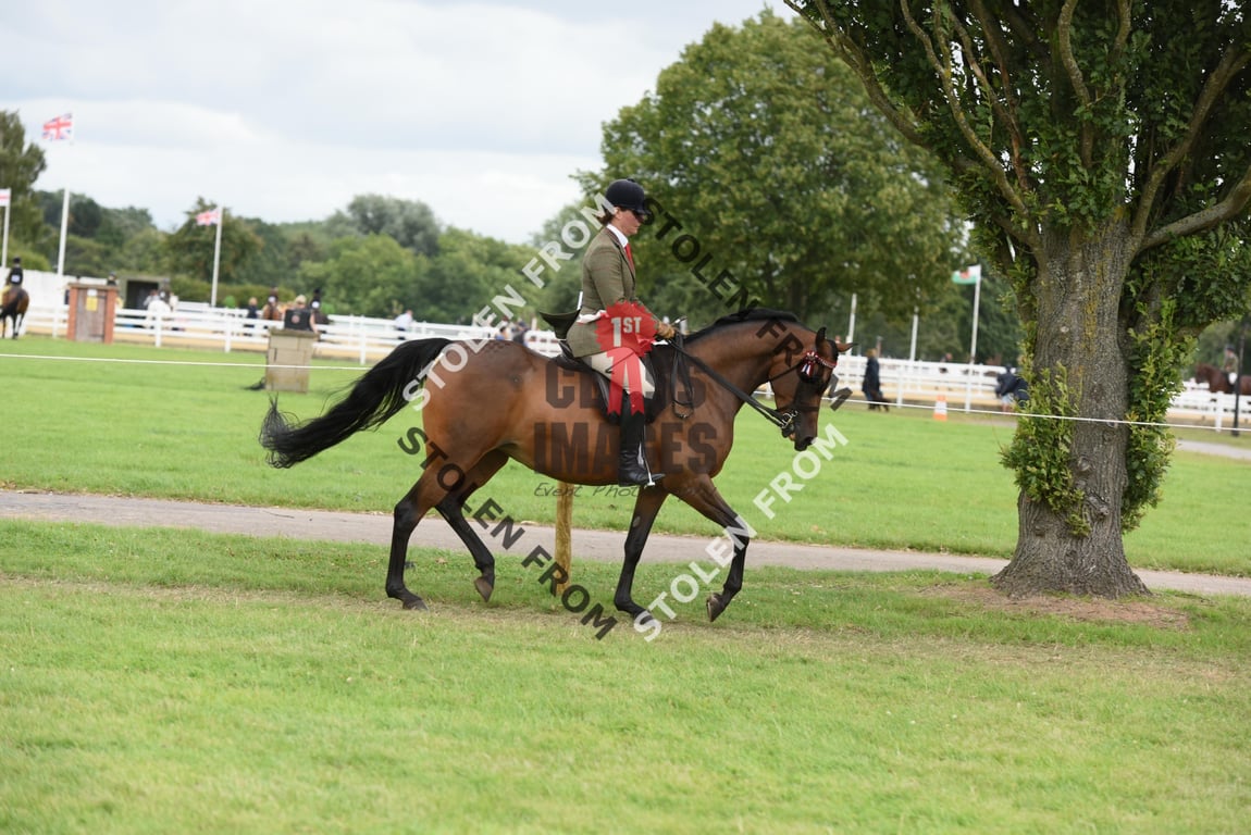 A97_2207 2023 - 1st Class Images