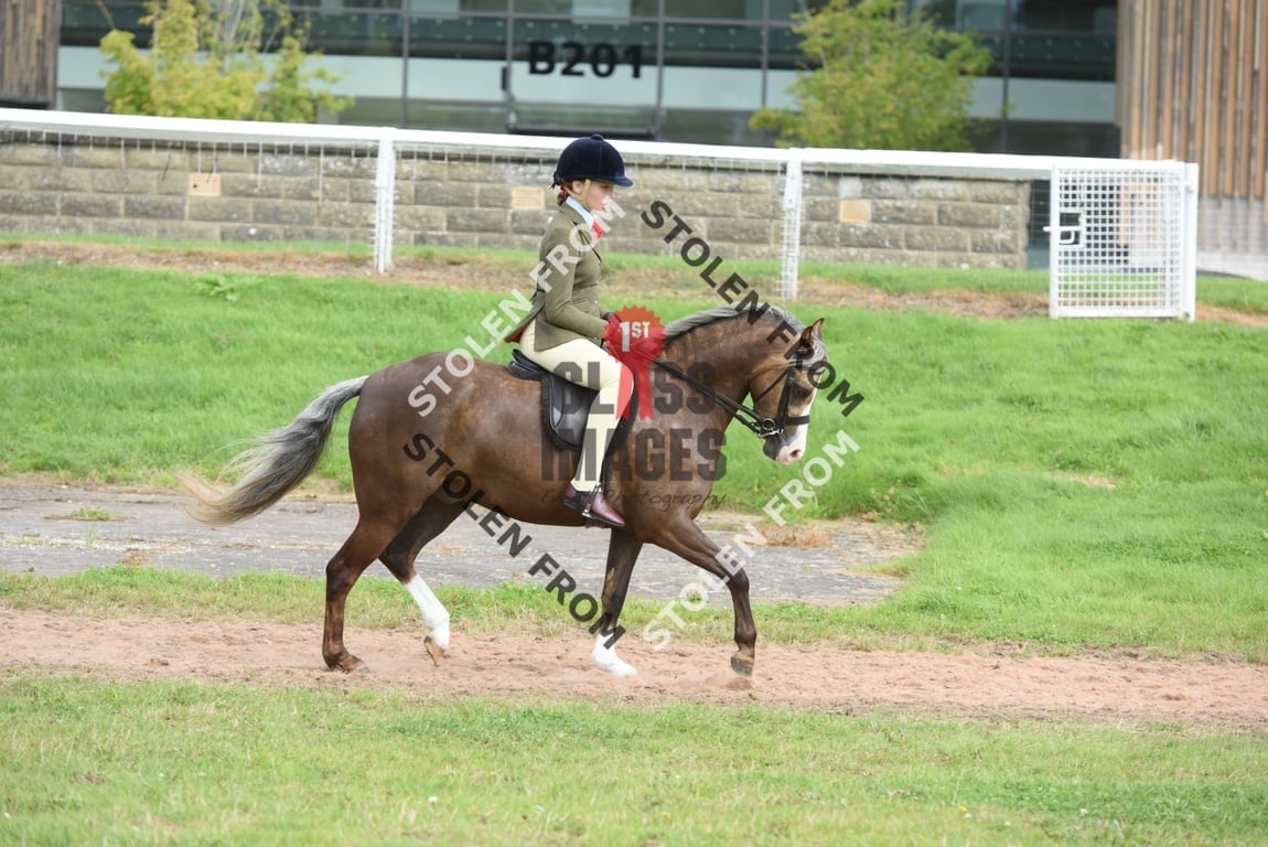 A98_4651 2023 - 1st Class Images