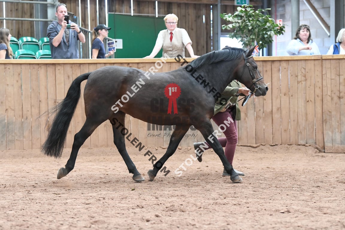 LC7_1530 2023 - 1st Class Images