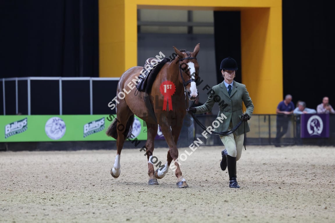 AH3_3572 2023 - 1st Class Images