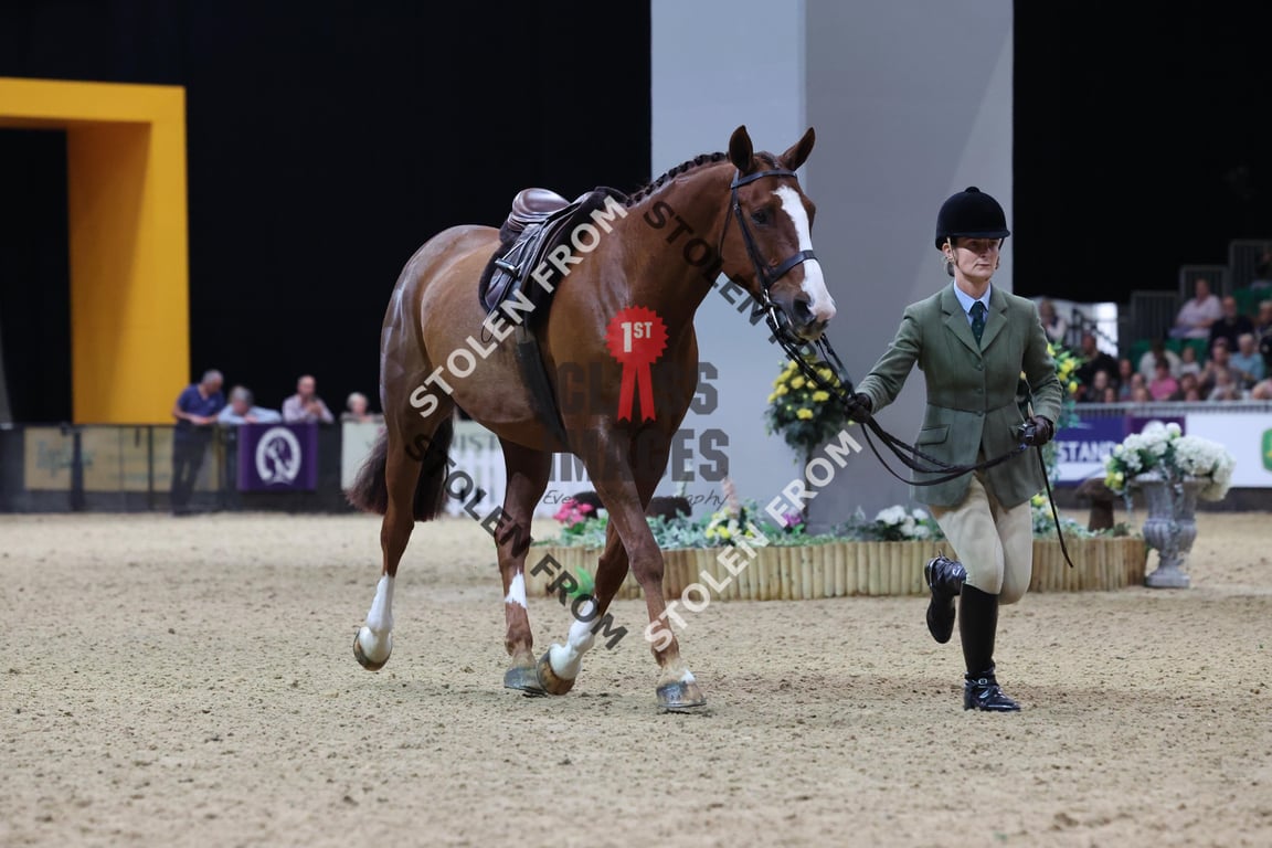 AH3_3575 2023 - 1st Class Images