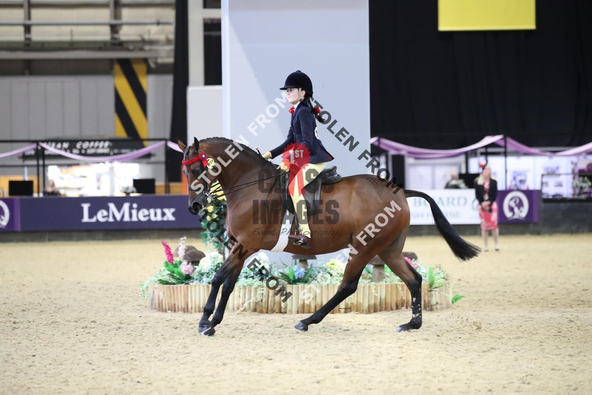 BH4_0006 2023 - 1st Class Images