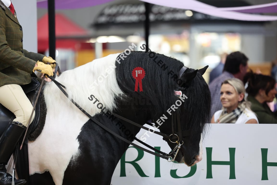 AH5_9601 2023 - 1st Class Images