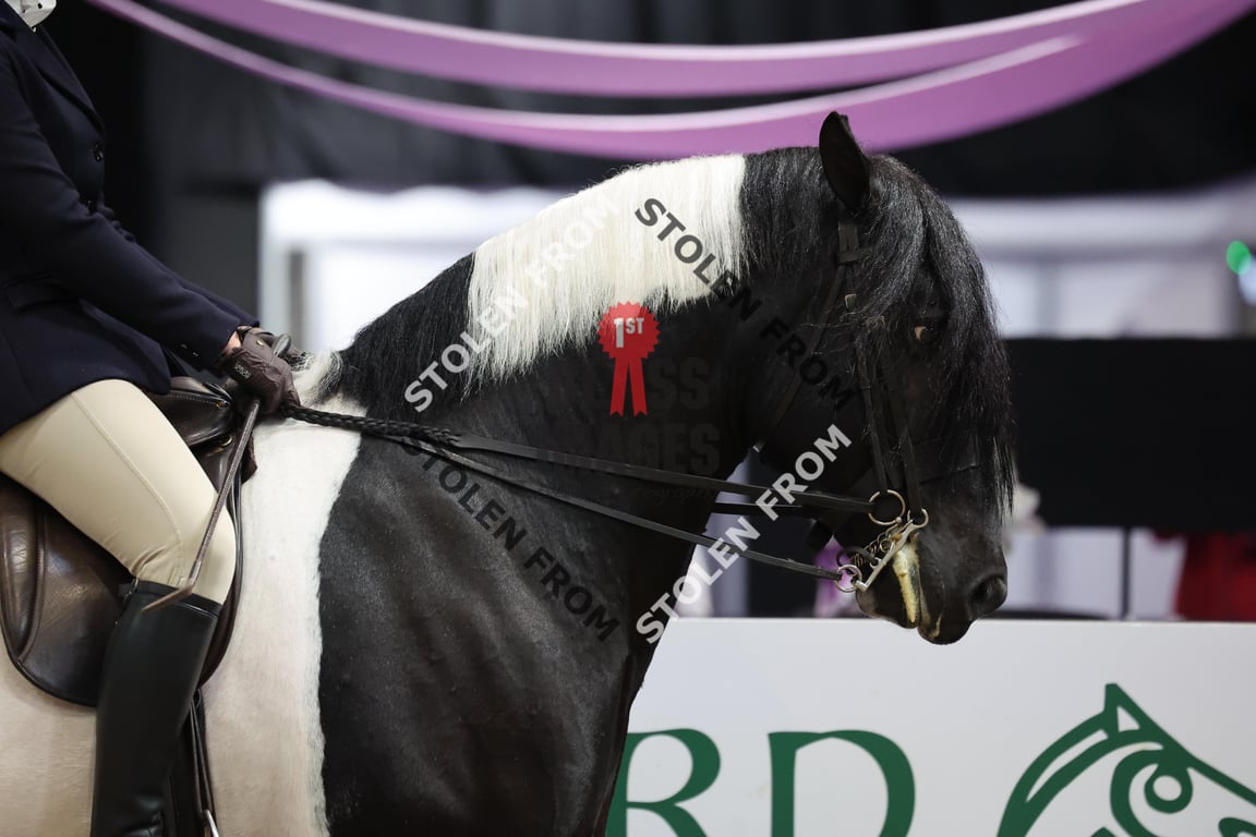 AH5_9618 2023 - 1st Class Images