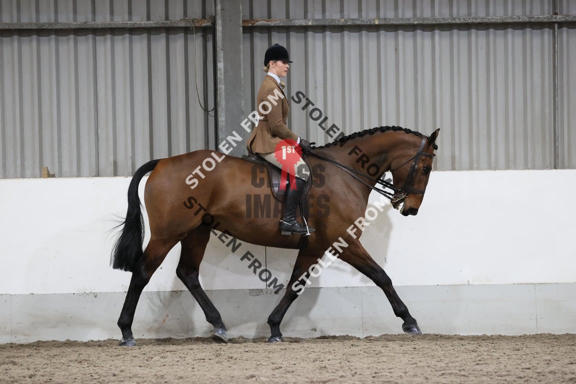 H04_7376 2024 - 1st Class Images