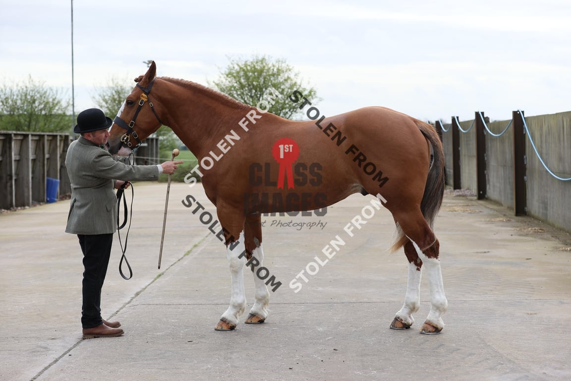 H10_4147 2024 - 1st Class Images