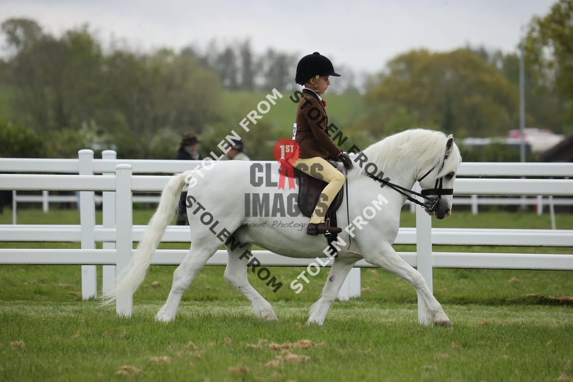 H13_6236 2024 - 1st Class Images