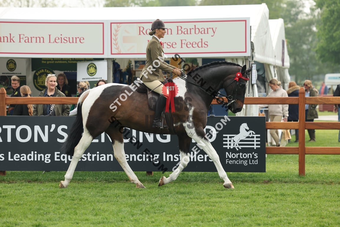 S15_1403 2024 - 1st Class Images