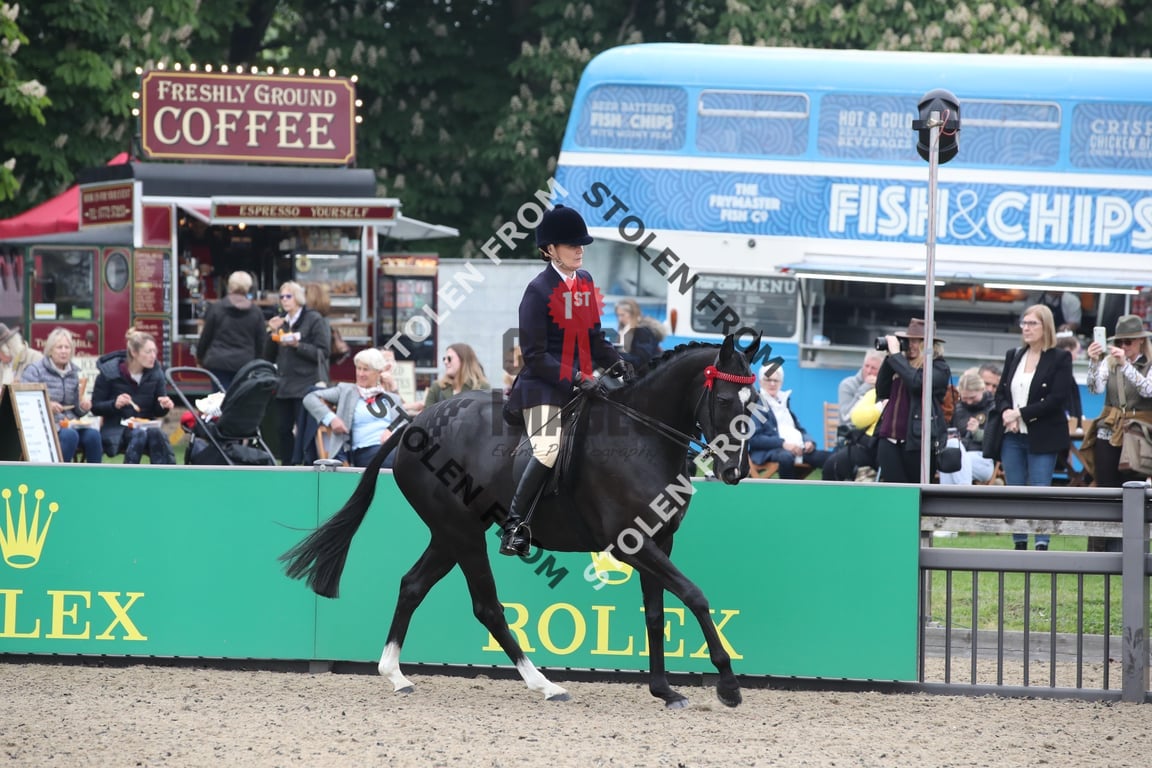 E15_1204 2024 - 1st Class Images