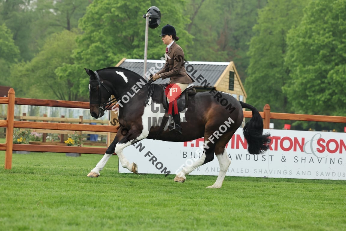 S15_0855 2024 - 1st Class Images