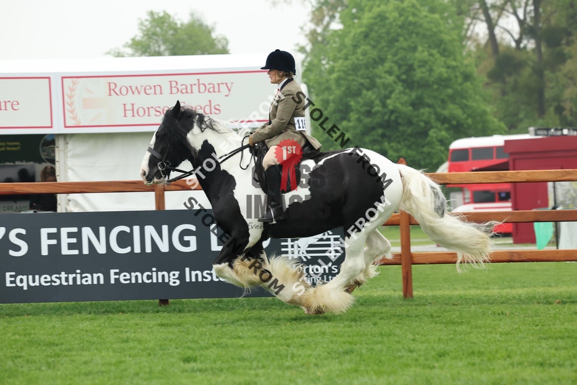 S15_0874 2024 - 1st Class Images