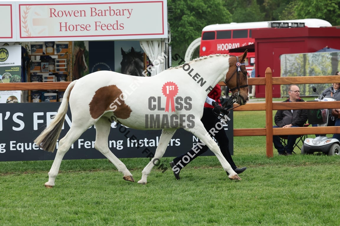 S15_2661 2024 - 1st Class Images