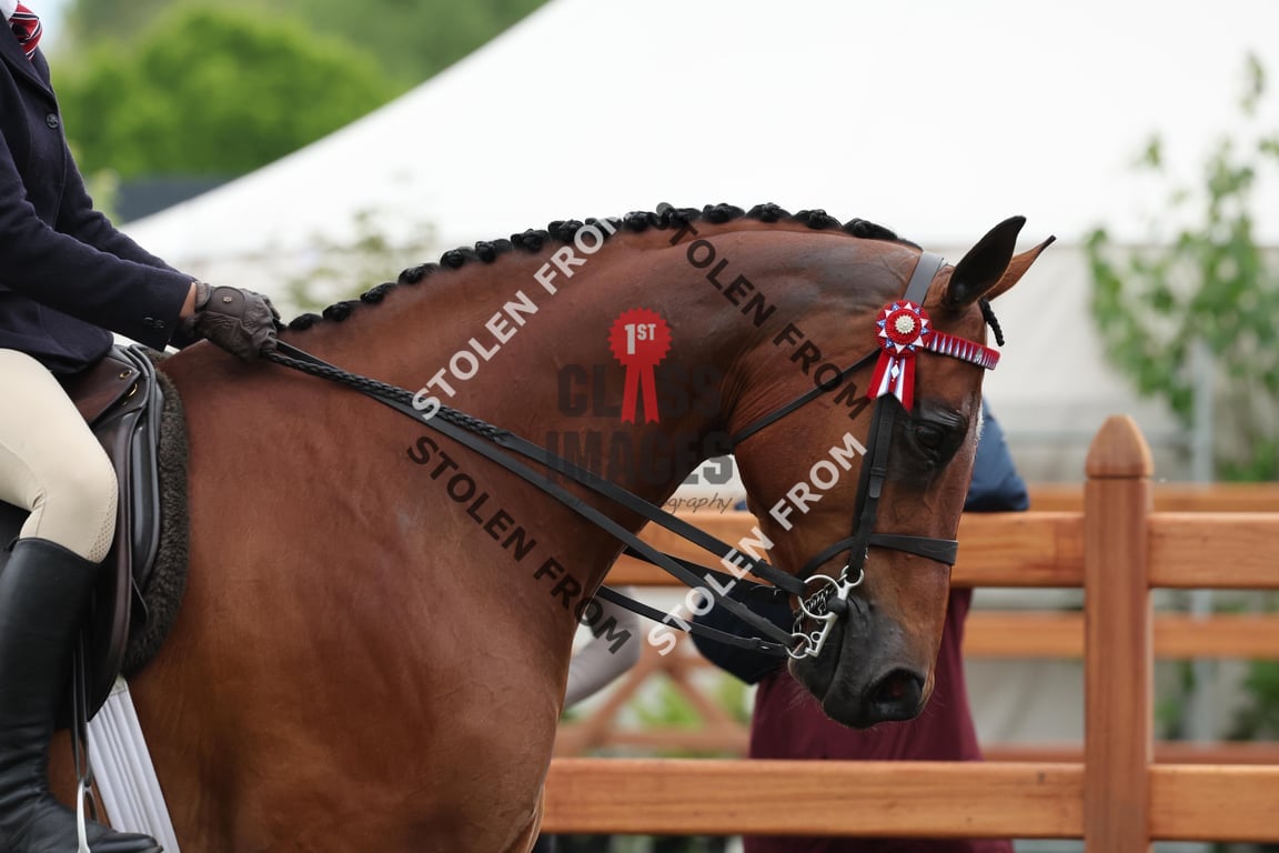 S18_7284 2024 - 1st Class Images