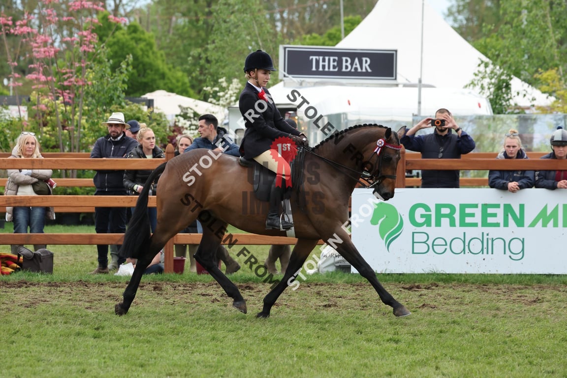 S18_7329 2024 - 1st Class Images